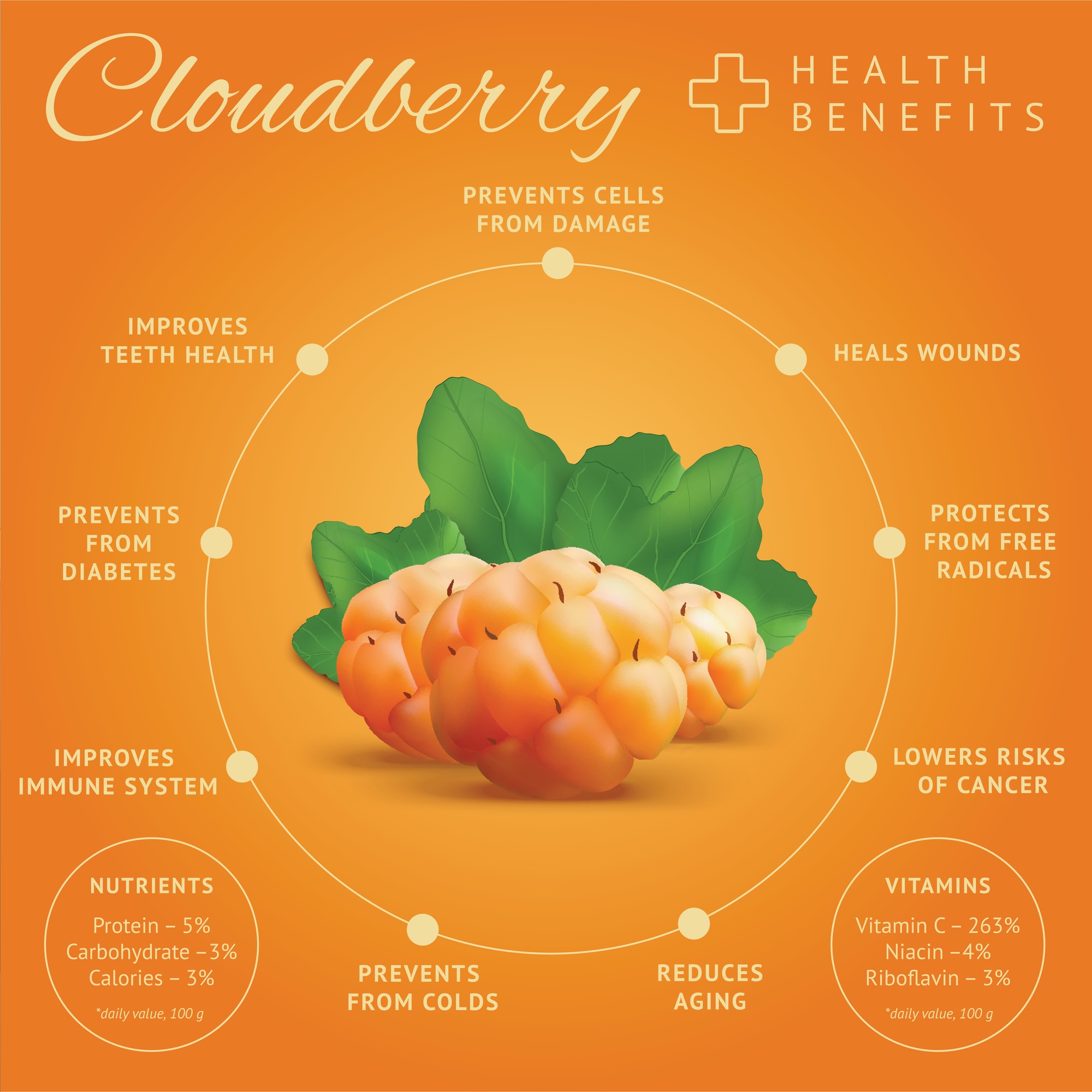 Tasty Traditions: The Delightful Cloudberry! – Magical Europe