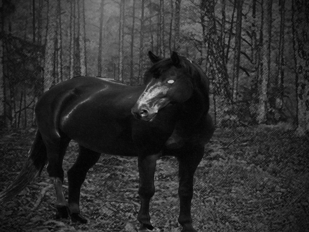 Beware of The Irish Pooka! – Magical Europe